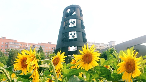 About-Beijing Normal University